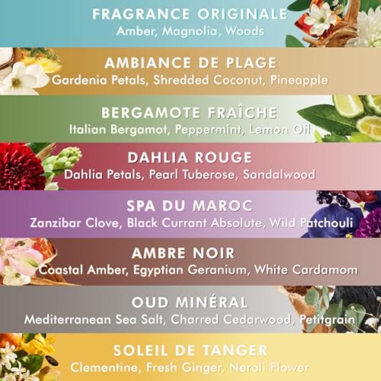 Shop - Moroccanoil® Official Store